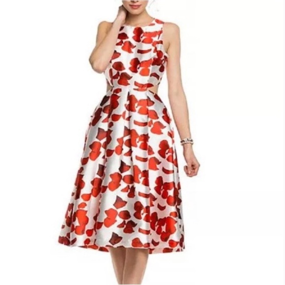 re:named | Dresses | Nordstrom Renamed 5s Pin Up Flared Dress Rose ...